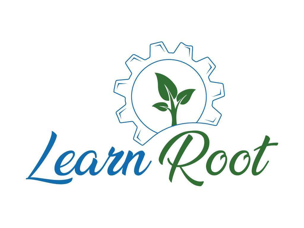 Learn Root Limited – 社會創新及青年創業部 Social Innovation and Youth Business Unit